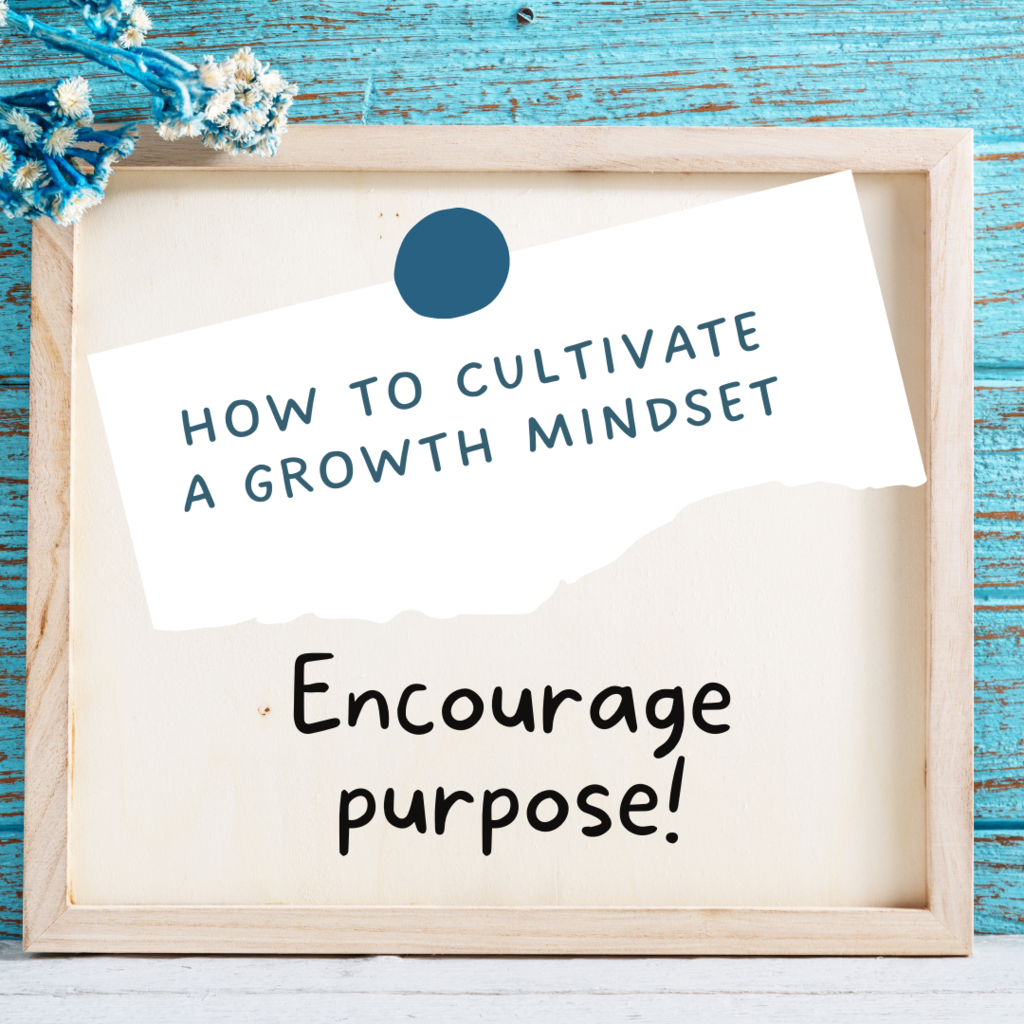 Live Feed | Library Media Services