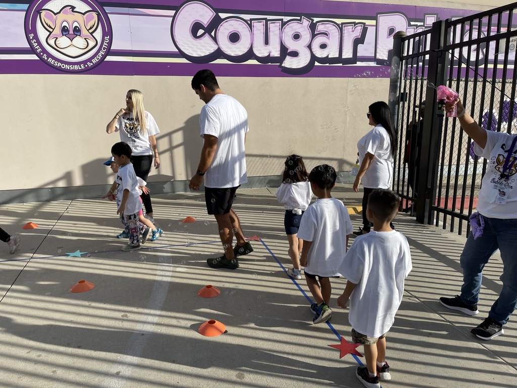 Live Feed | Caryn Elementary School